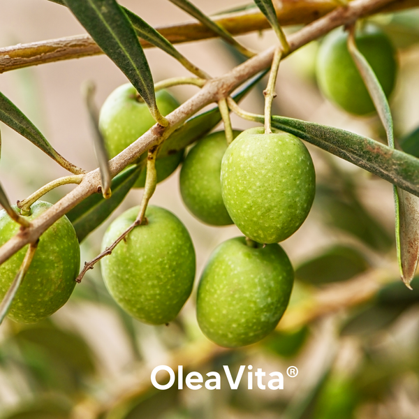 👉 Befecto - 轻松代谢管理！减少热量吸收，燃脂塑身更简单！